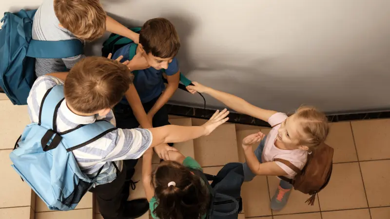 Sistemas de seguridad para escuelas de primaria y secundaria y campus ...